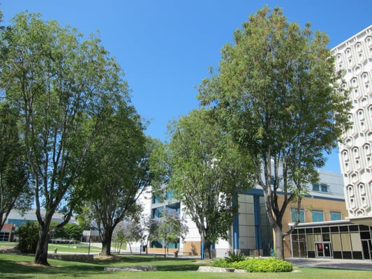 PAULINA JUNE AND GEORGE POLLAK LIBRARY - Updated August 2024 - 11 ...