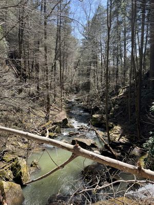 BOARDTREE FALLS - Updated September 2024 - Altamont, Tennessee - Parks ...