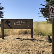 COWELL RANCH BEACH - 564 Photos & 78 Reviews - Hwy 1, Half Moon Bay ...