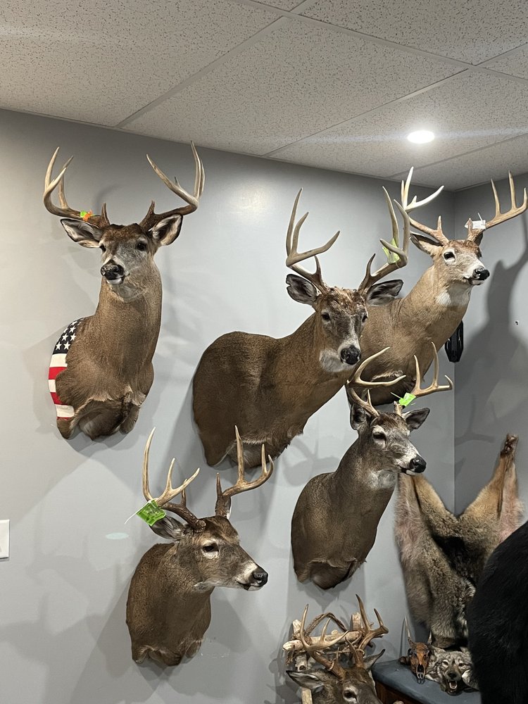 JAQUAY’S TAXIDERMY - Updated June 2026 - 2090 Lottsville-Niobe Rd, Bear ...
