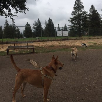 ROBERT’S LAKE - Updated July 2025 - 24 Photos & 22 Reviews - 5010 ...