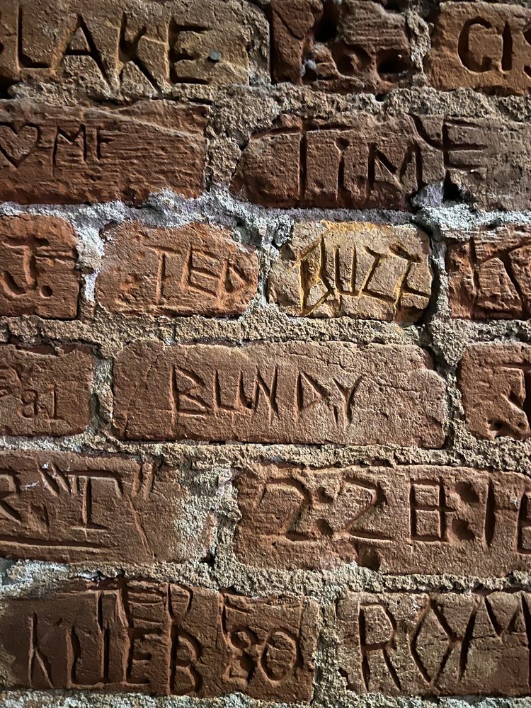 THE TAV - Updated September 2025 - 92 Photos & 195 Reviews - 117 W 4th ...