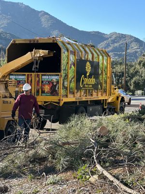 CANADA TREE CARE - Updated December 2025 - 48 Photos & 23 Reviews - La ...