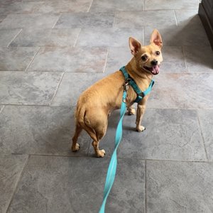 RYAN VETERINARY HOSPITAL - Updated September 2025 - 15 Photos & 195 ...