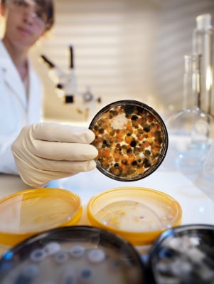 H2H INDOOR AIR SOLUTIONS - Updated December 2025 - 16 Photos - 712 S ...