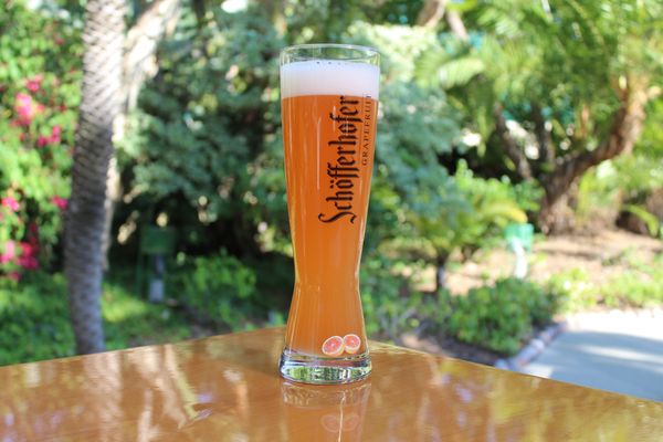 PHOENIX CLUB - TEMP. CLOSED - Updated March 2024 - 784 Photos & 302 ...