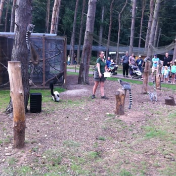 YORKSHIRE WILDLIFE PARK - Updated August 2025 - 48 Photos & 11 Reviews ...
