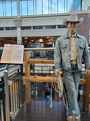 SCHEELS - 860 Photos & 503 Reviews - Outdoor Gear - 1200 Scheels Dr ...