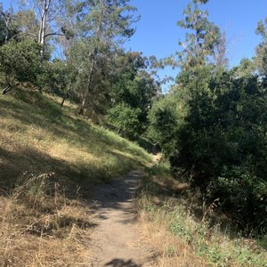 MURPHY RANCH PARK - 186 Photos & 45 Reviews - Hiking - 16200 Las ...