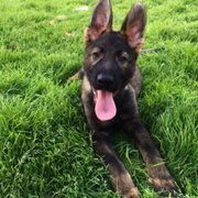 DR. BUTCHKO - 21 Photos & 38 Reviews - 5448 Mission Blvd, Riverside, CA ...