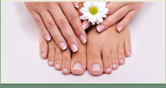 LINDA SQUIRES AND CO - Updated December 2025 - 3610 Main St, Munhall ...