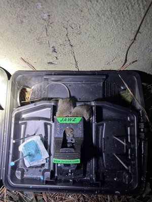 FIRST STRIKE PEST ELIMINATION - Updated October 2025 - 25 Photos ...