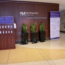NORTHWESTERN MEMORIAL HOSPITAL - 147 Photos & 541 Reviews - 251 E Huron ...