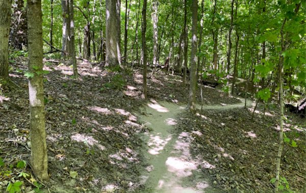 ILLINIWEK FOREST PRESERVE - Updated August 2025 - 1201 State Ave ...