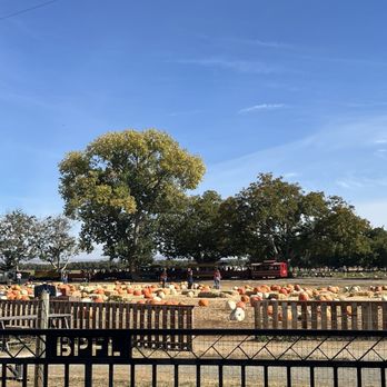 BISHOP’S PUMPKIN FARM - Updated September 2025 - 1244 Photos & 589 ...