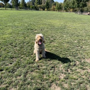HAZELIA FIELD DOG PARK - Updated 2024 - 85 Photos & 57 Reviews - 17800 ...