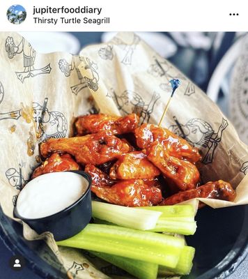 THIRSTY TURTLE SEAGRILL - 278 Photos & 490 Reviews - 13981 US 1, Juno ...