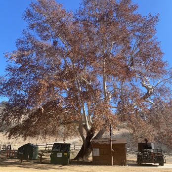 DA RANCH - Updated December 2024 - 268 Photos & 122 Reviews - 1901 N ...