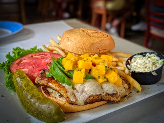 BLUE DOG BAR & GRILL - 459 Photos & 524 Reviews - 4597 Pine Island Rd ...