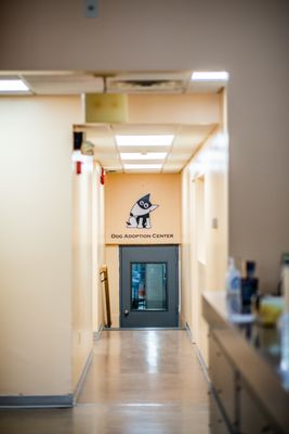 HUMANE LEAGUE OF LANCASTER COUNTY - Updated September 2025 - 12 Reviews ...