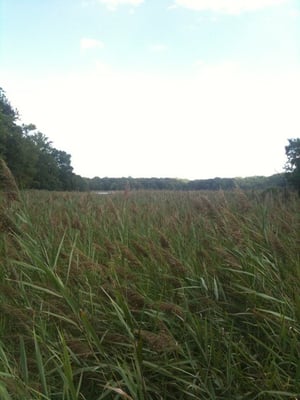 SMITHSONIAN ENVIRONMENTAL RESEARCH CENTER - Updated October 2025 - 647 ...