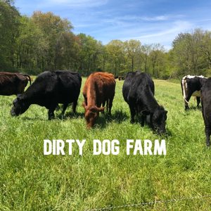 KINDERHOOK FARM - Updated July 2024 - 49 Photos - 1958 County Rd 21 ...