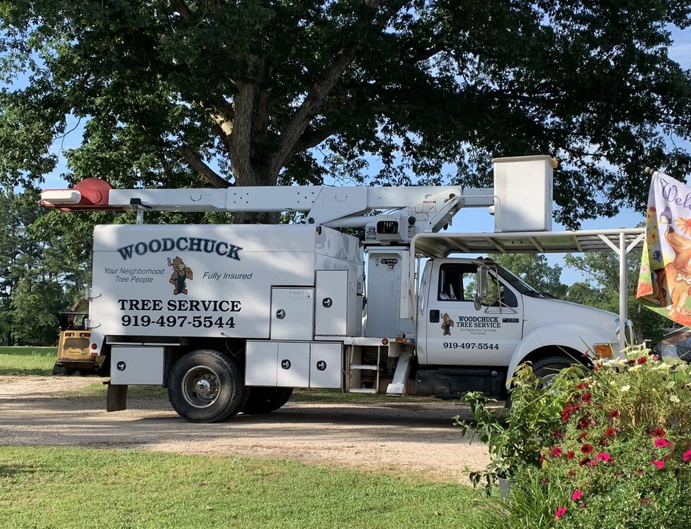 WOODCHUCK TREE SERVICE - Updated July 2024 - 19 Photos - 6605 NC 561 ...