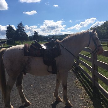 ROYAL HORSESHOE FARM - Updated May 2025 - 51 Photos & 41 Reviews - 509 ...