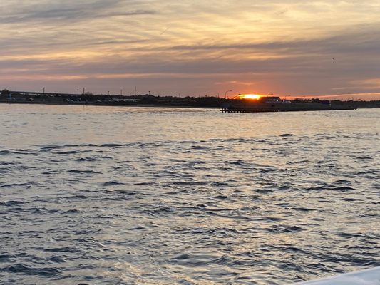 CAPTREE PRINCESS - Updated December 2025 - 60 Photos & 41 Reviews ...