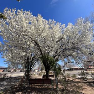 LOMA COLORADO MAIN LIBRARY - Updated December 2025 - 36 Photos & 18 ...