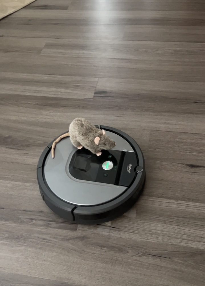 IROBOT - Updated December 2025 - 16 Reviews - 33 2nd Ave, Burlington ...