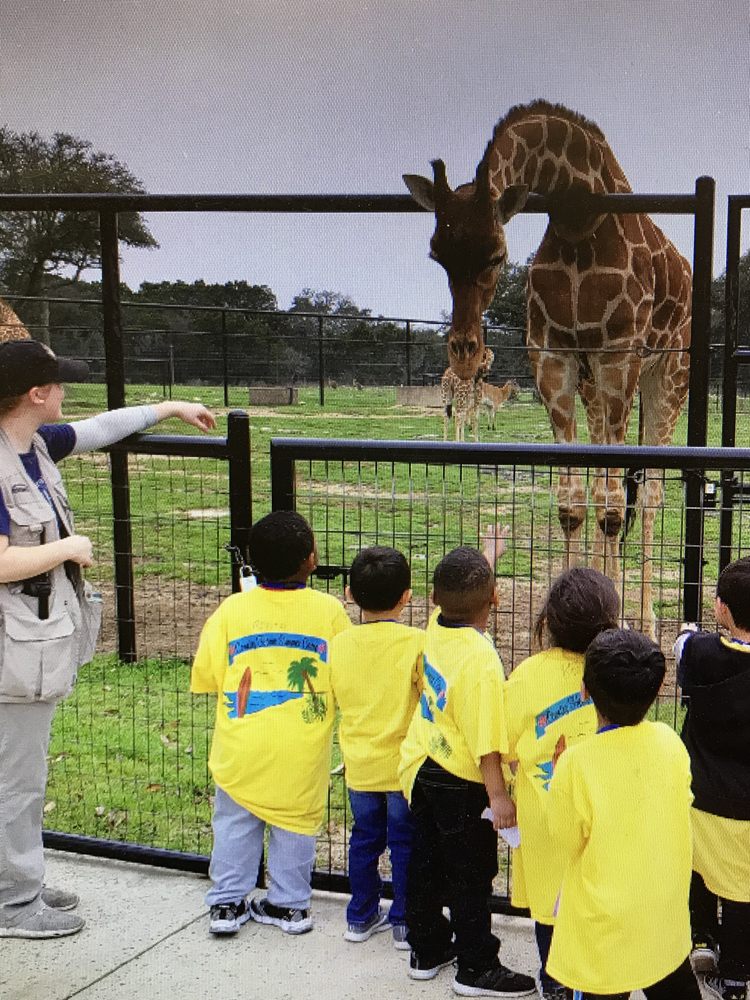 COUNTRY HOME LEARNING CENTER - Updated January 2025 - 16 Photos & 26 ...