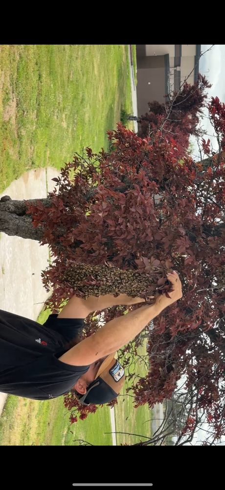 NEXT GENERATION PEST CONTROL - Updated December 2025 - 12 Photos - 323 ...