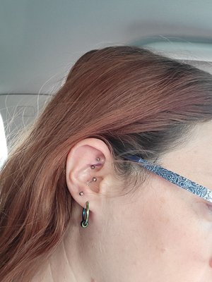 FOX LABYRINTH - Updated December 2025 - 47 Photos & 46 Reviews - 3029 ...