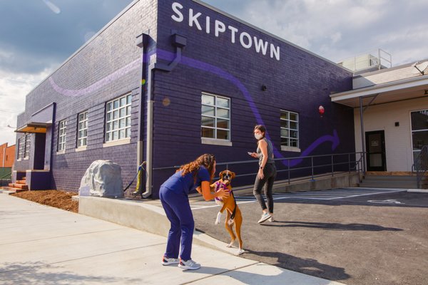 SKIPTOWN - 80 Photos & 43 Reviews - Dog Parks - 222 Rampart St ...