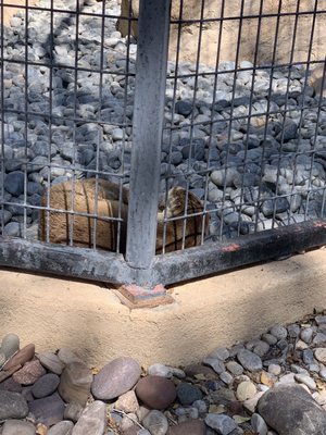 ALAMEDA PARK ZOO - Updated September 2024 - 147 Photos & 51 Reviews ...