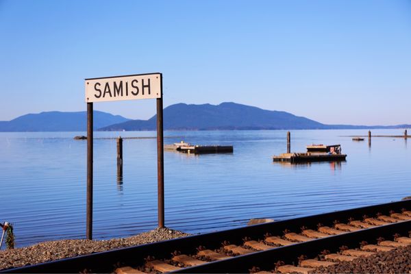 TAYLOR SHELLFISH FARMS - 1139 Photos & 306 Reviews - Seafood Markets ...