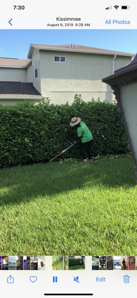 KINGDOM TREE SERVICES - Updated March 2025 - Haines City, Florida - Tree Services - Phone Number ...