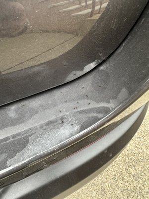 SECURITY DODGE CHRYSLER JEEP RAM - Updated November 2025 - 40 Photos ...