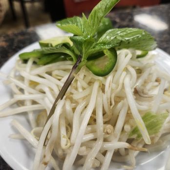PHO CAFE HONG KONG DINER - Updated June 2025 - 726 Photos & 516 Reviews ...