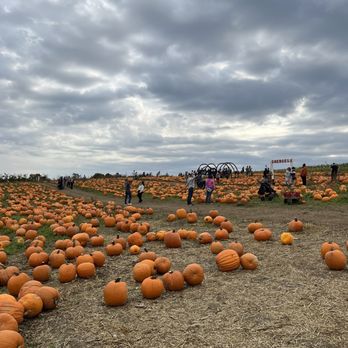 SOERGEL ORCHARDS & GARDEN CENTER - Updated October 2025 - 404 Photos ...