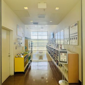 WINDMILL LIBRARY - Updated March 2025 - 318 Photos & 172 Reviews - 7060 ...