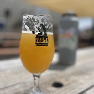 5TH ELEMENT BREWING - 100 E Evans St, Leander, Texas - Brewpubs ...