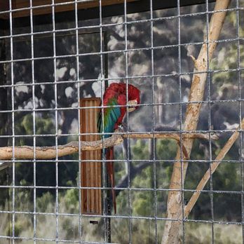 TRACY AVIARY - Updated June 2025 - 529 Photos & 192 Reviews - 589 E ...