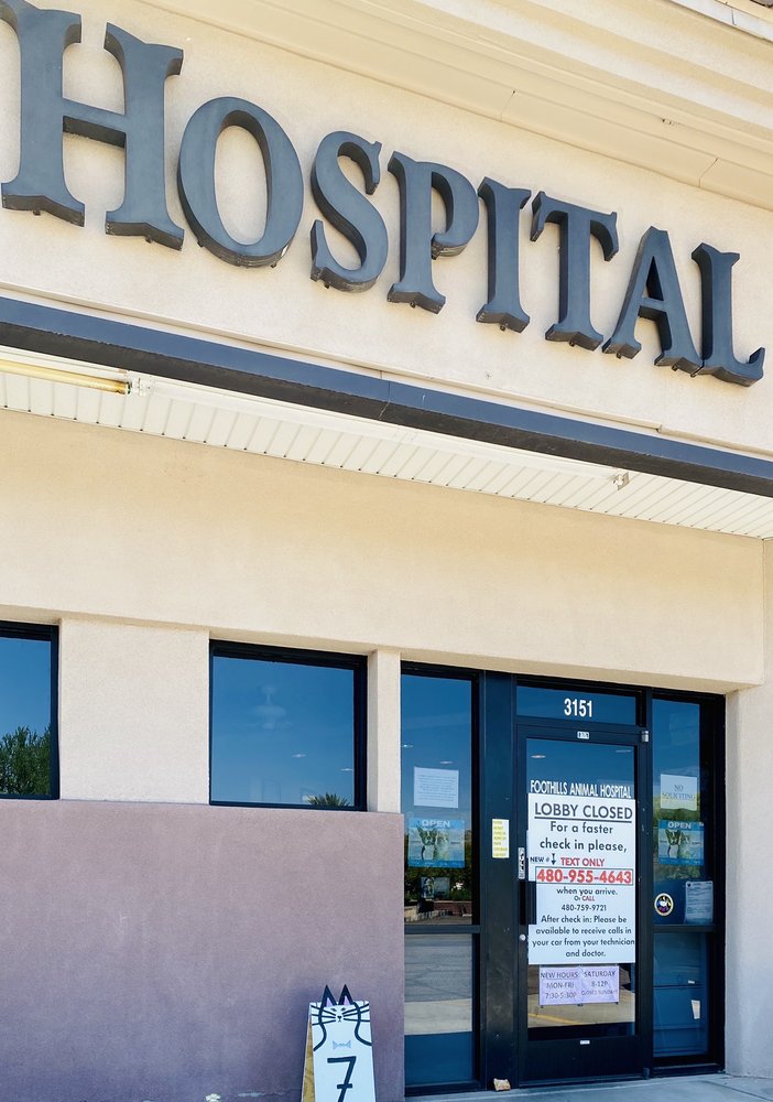 FOOTHILLS ANIMAL HOSPITAL - Updated July 2024 - 42 Photos & 61 Reviews ...