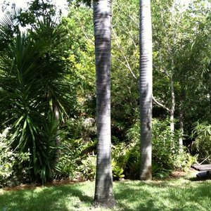 MIAMI-DADE PUBLIC LIBRARY SYSTEM - HISPANIC BRANCH - Updated September ...