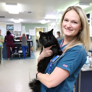 SUMMIT VETERINARY REFERRAL CENTER - Updated October 2025 - 59 Photos ...