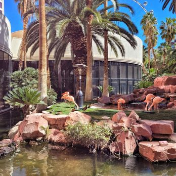 WILDLIFE HABITAT - Updated September 2024 - 457 Photos & 91 Reviews ...