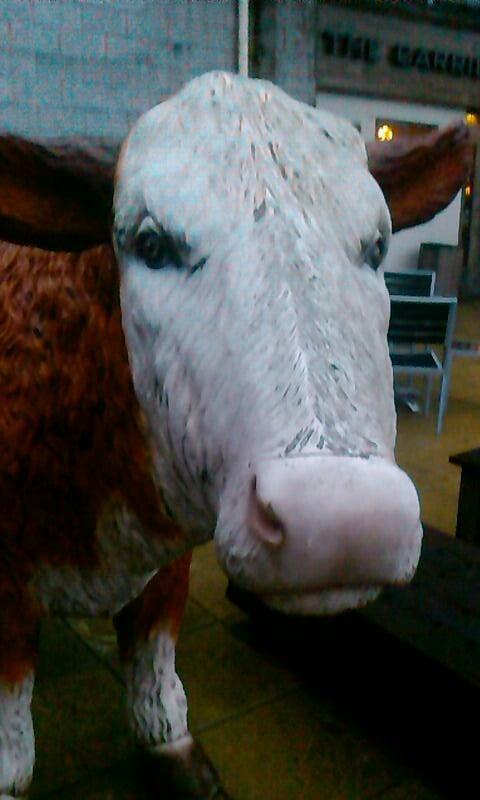 THE CARRICK STONE - WETHERSPOONS - Updated June 2025 - Cumbernauld ...