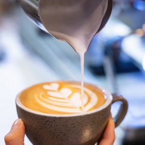 JAVA NATION - Updated February 2025 - 625 Photos & 350 Reviews - 11120 ...